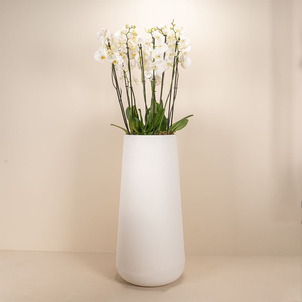 Mawada | Gifts for all Occasions