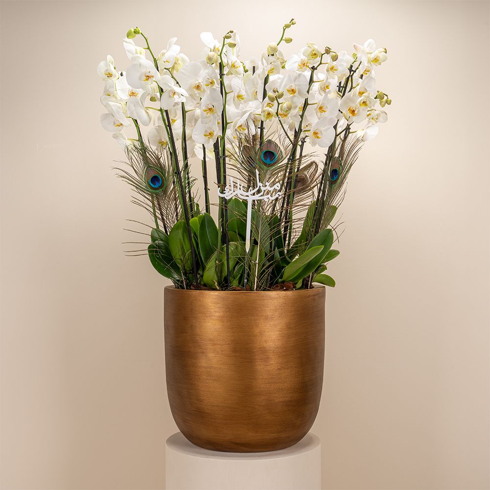 Mawada | Gifts for all Occasions