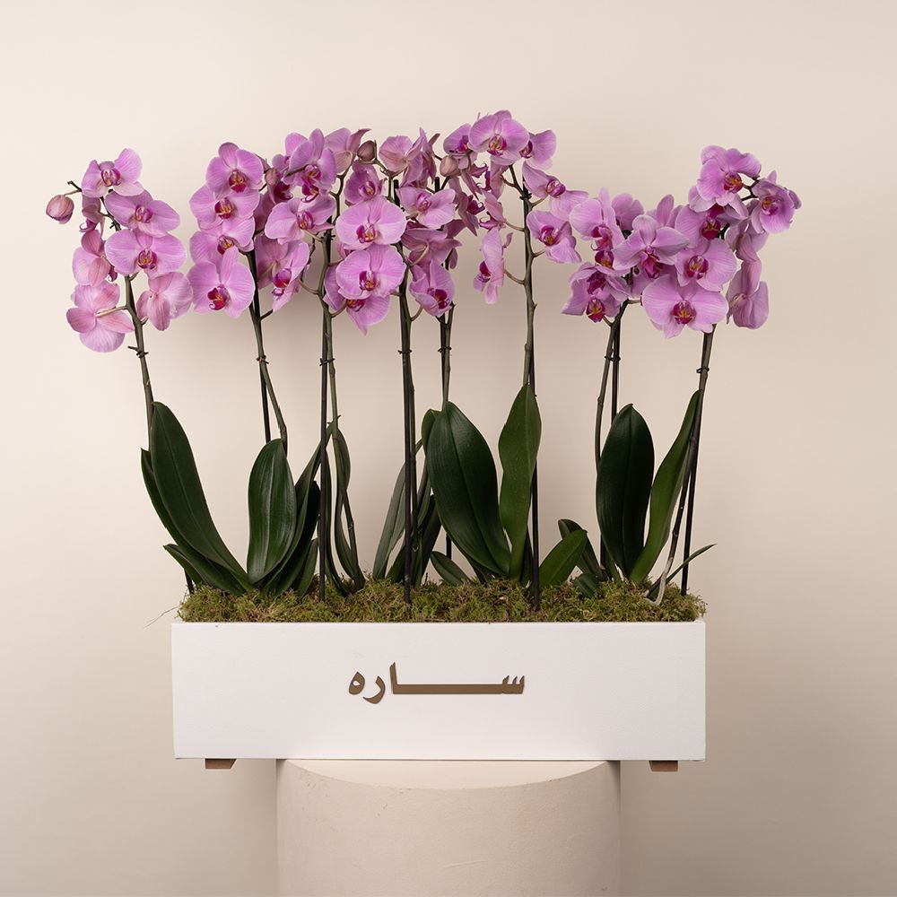 Mawada | Gifts for all Occasions