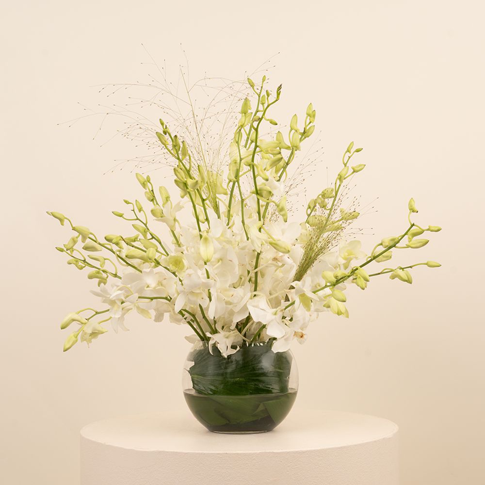 Mawada | Gifts for all Occasions